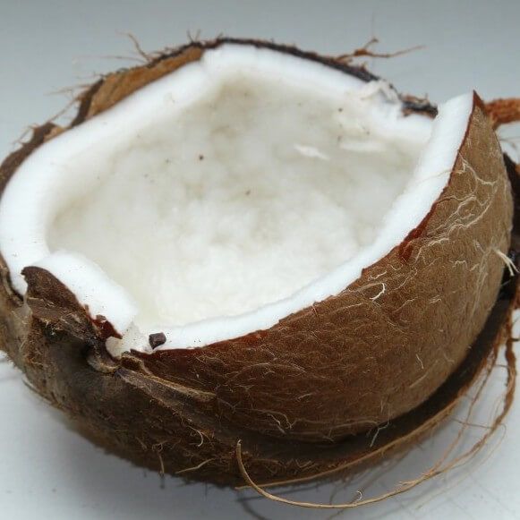 Coco Seco descascado Unidade – Tomatito